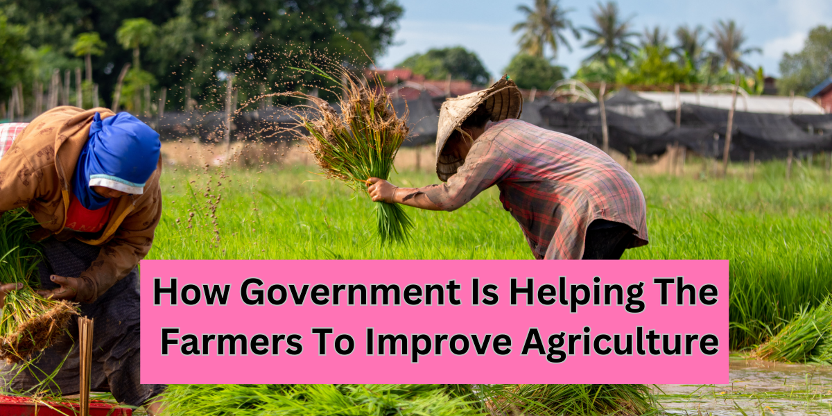 How Government Is Helping The Farmers To Improve Agriculture - Chooser
